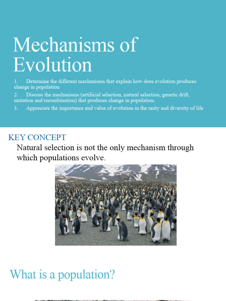 Mechanisms of Evolution | PDF | Evolution | Zygosity