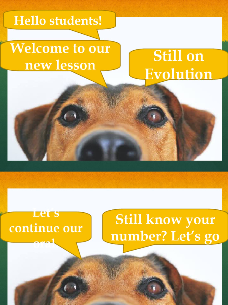 Ch 10 11 Evolution Evidences 1 | PDF | Adaptation | Evolution