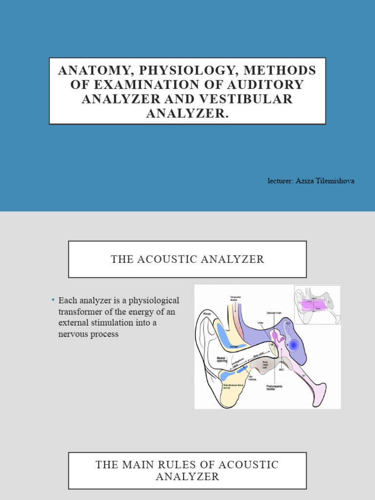 Auditory and Vestibular System Overview | PDF | Hearing | Ear