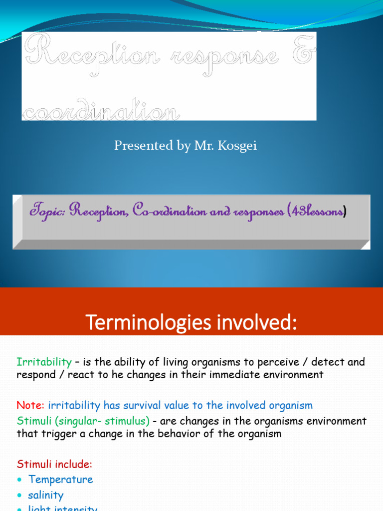 Reception, Response, and Coordination in Biology | PDF | Neuron ...