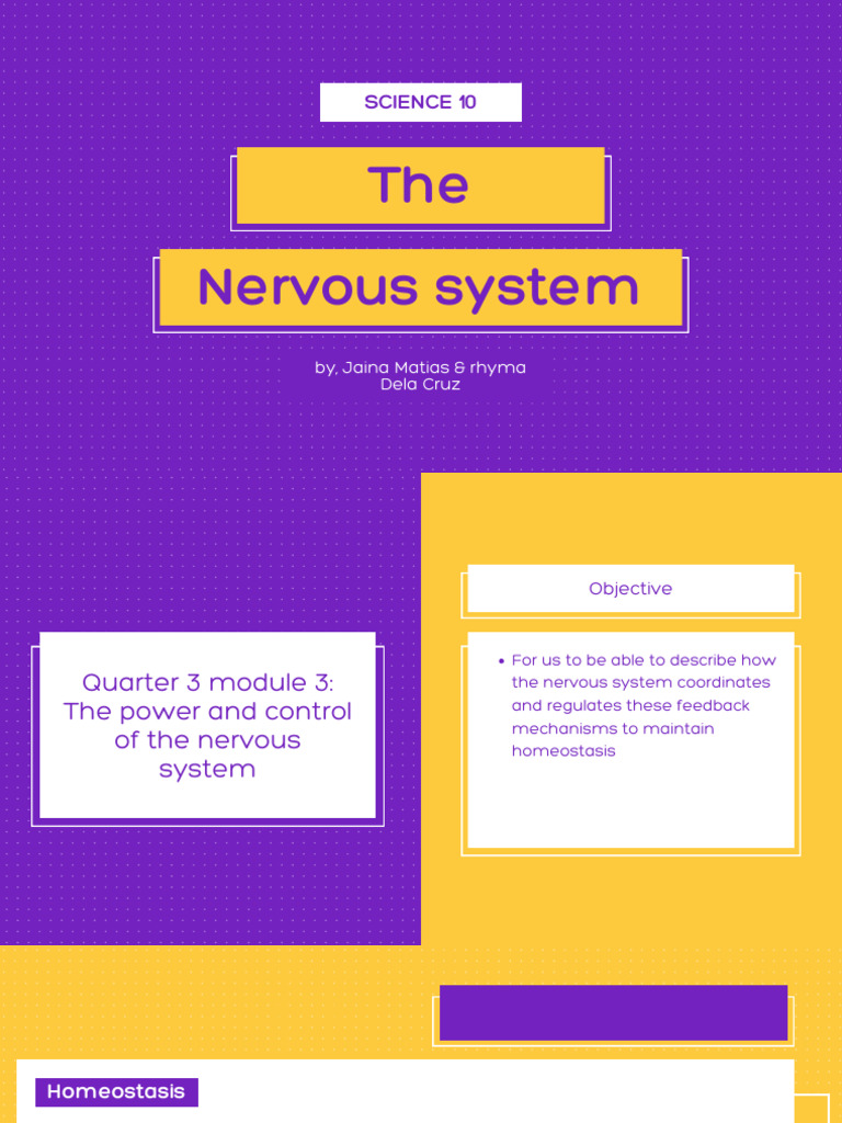 Nervous System Science 10 | PDF | Nervous System | Central Nervous System