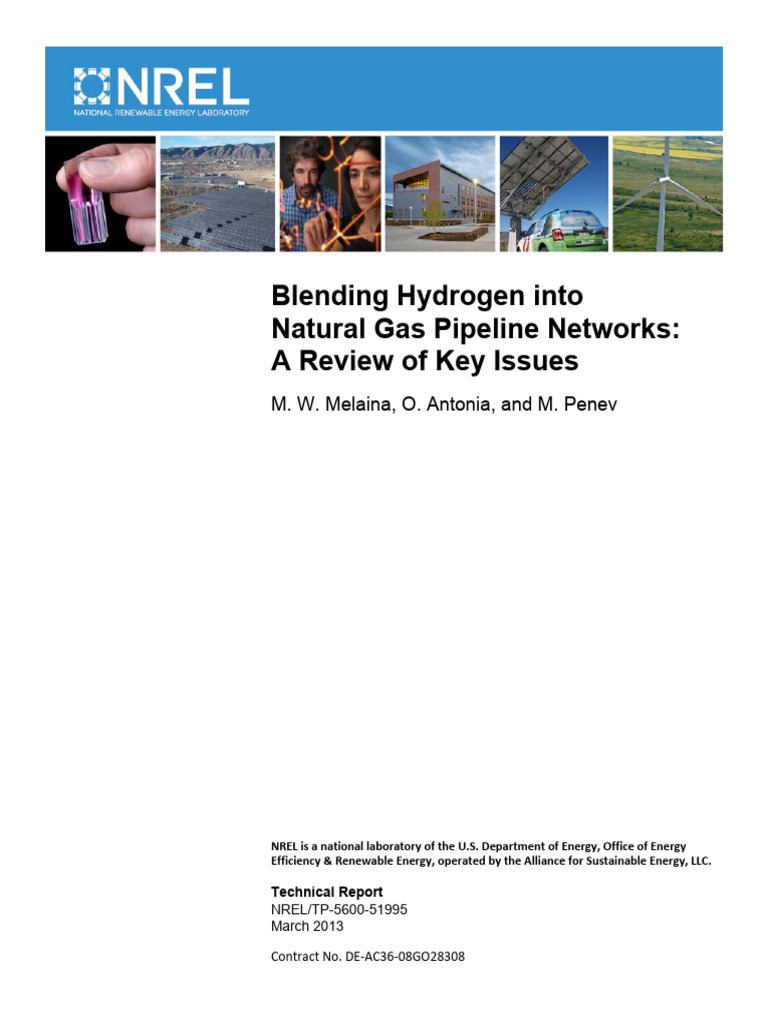 Blending H2 Into NG Pipeline Network-1-50 | PDF | Natural Gas | Biogas