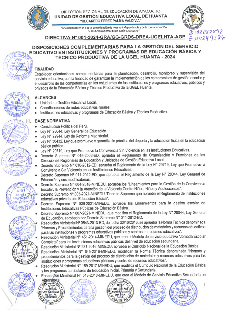 Directiva N 001-2024 | PDF