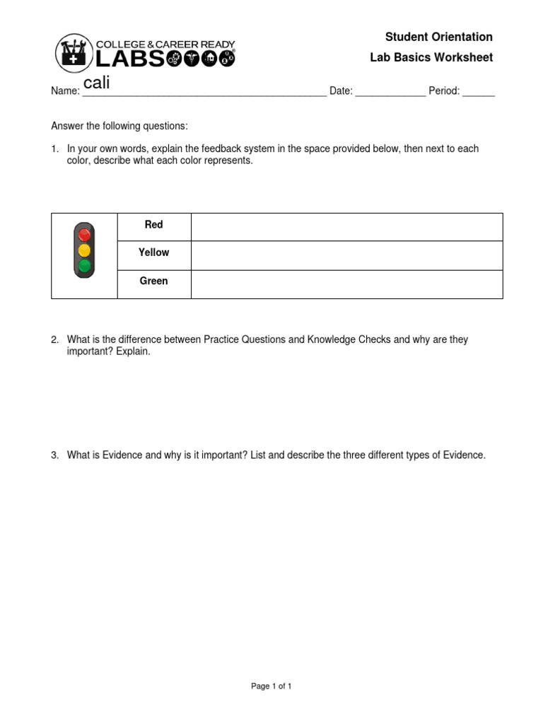 Lab Basics Worksheet | PDF