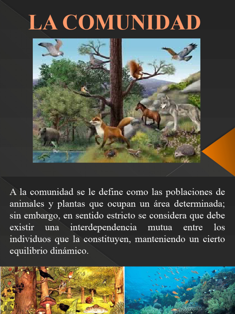 COMUNIDAD | PDF | Ecología | Red alimentaria