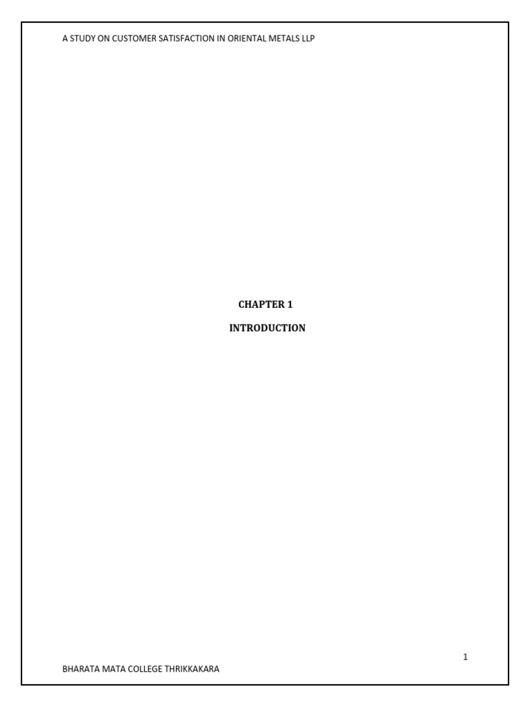 FINAL PROJECT LAST ND FINAL lastTT | PDF | Marketing | Customer ...