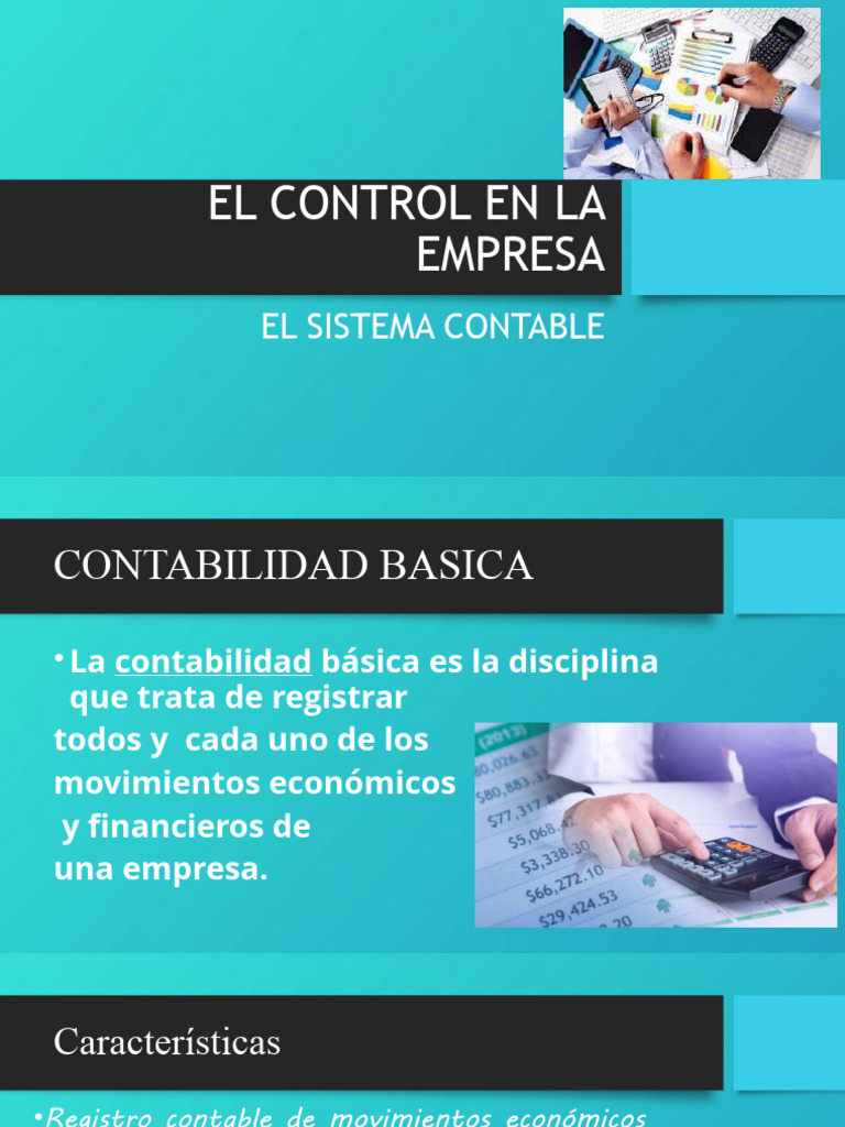 El Control en La Empresa | PDF | Finanzas y dinero