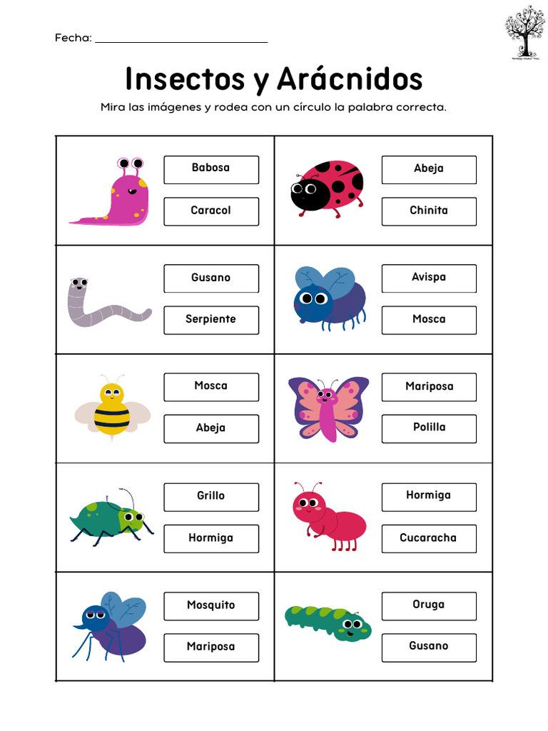 Insectos y Arácnidos para Imprimir | PDF