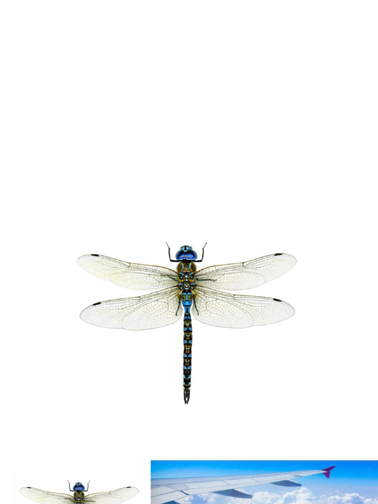 PHY 101 - Vat Li Dai Cuong A1 - Tieng Viet - 2024S - Lecture Slides ...