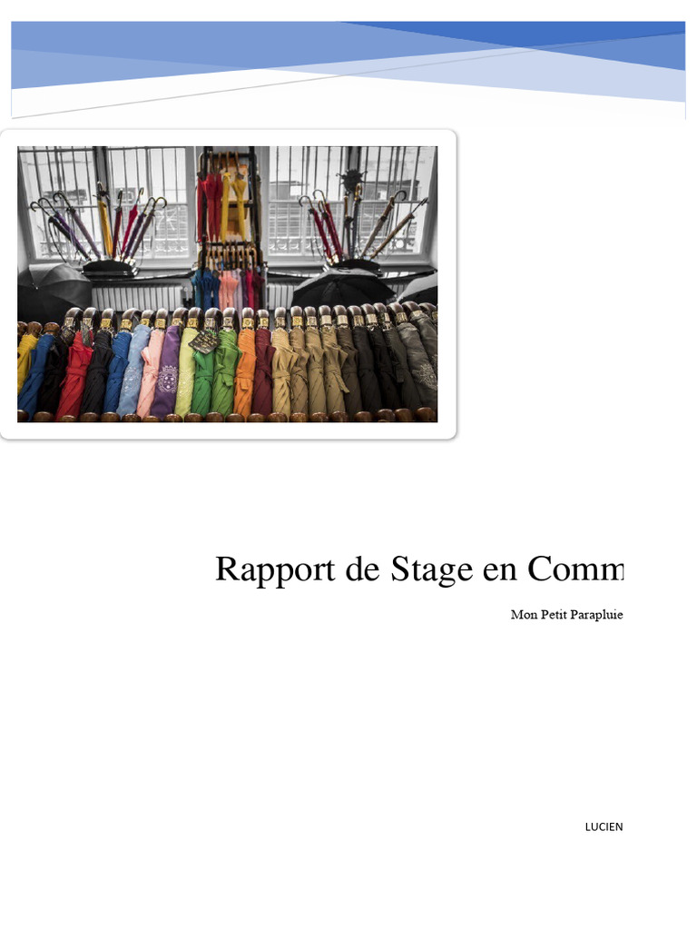 LUCIEN Word - Mise en Forme de Rapport de Stage - Police - Copie | PDF
