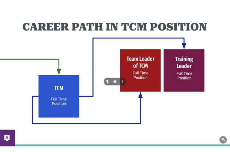 TCM Career Path | PDF