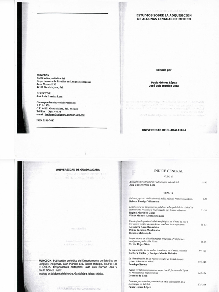 Adquisición de La Lengua. Iturrioz 1 | PDF