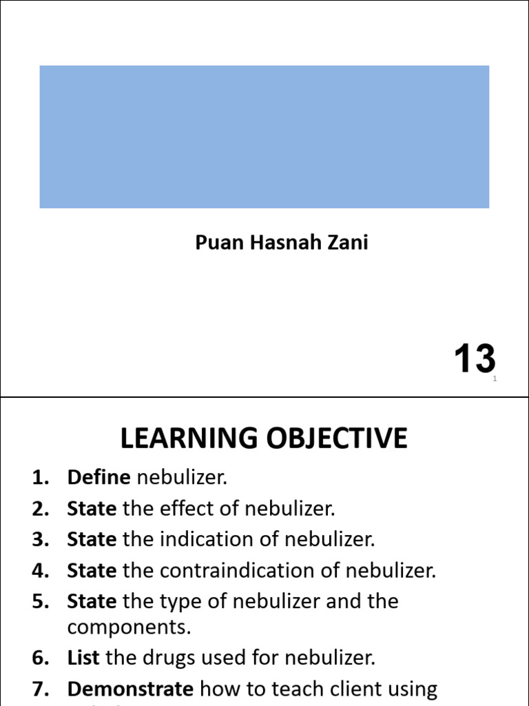 z13. NEBULIZER PEAK FLOW METER | PDF