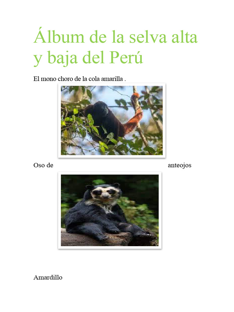 Álbum de La Selva Alta y Baja Del Perú | PDF