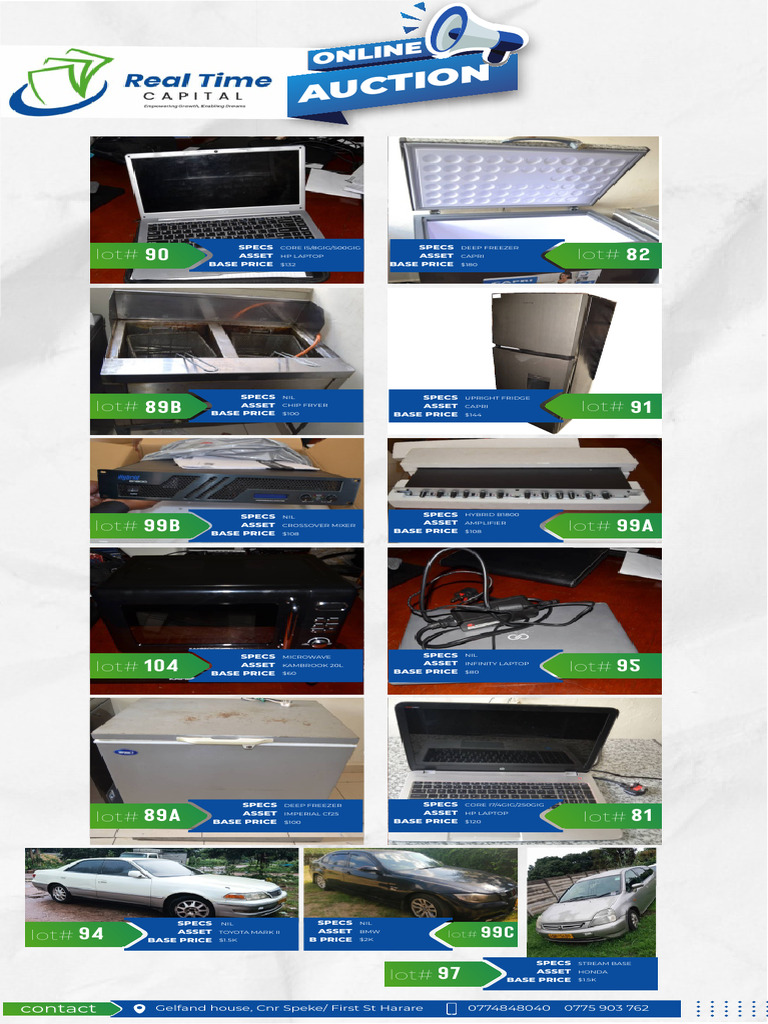 Online Auction Asset Listings | PDF