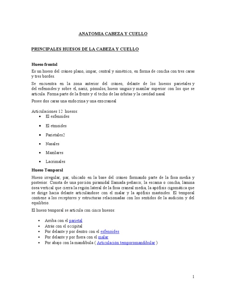 Informe Anato Final | PDF | Ojo humano | Oído