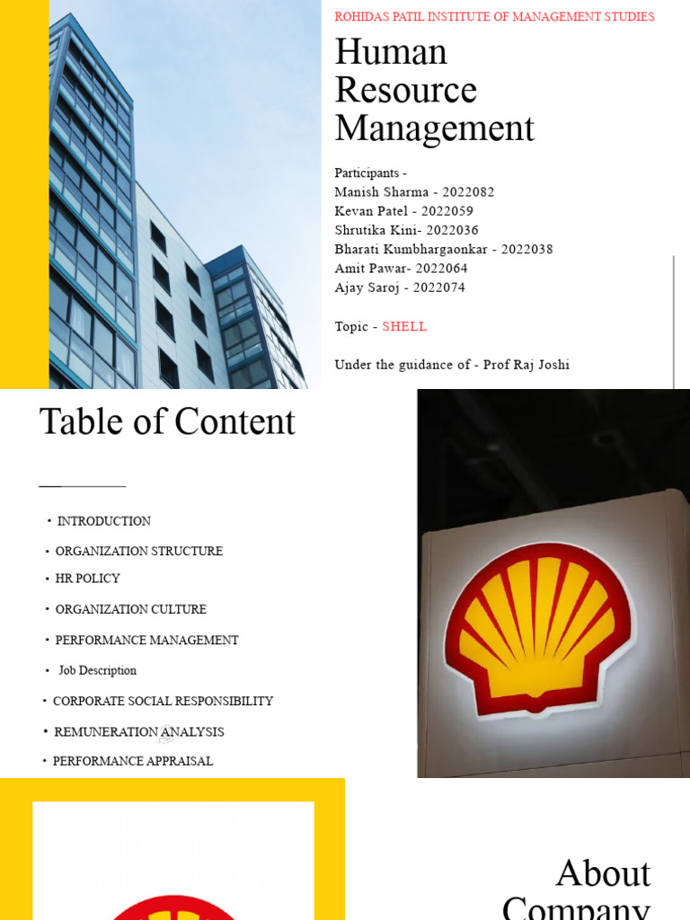 Shell | Download Free PDF | Corporate Social Responsibility | Employment