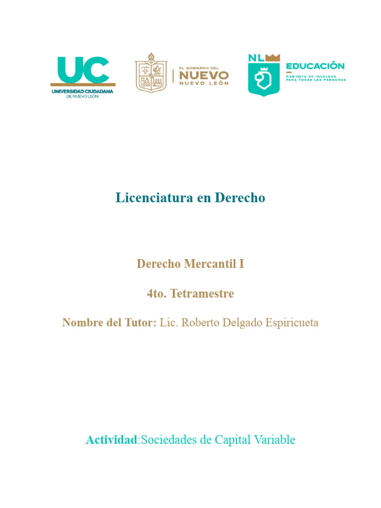 Ensayo Derecho Mercantil | Descargar gratis PDF | Sociedad de responsabilidad limitada | Sociedad