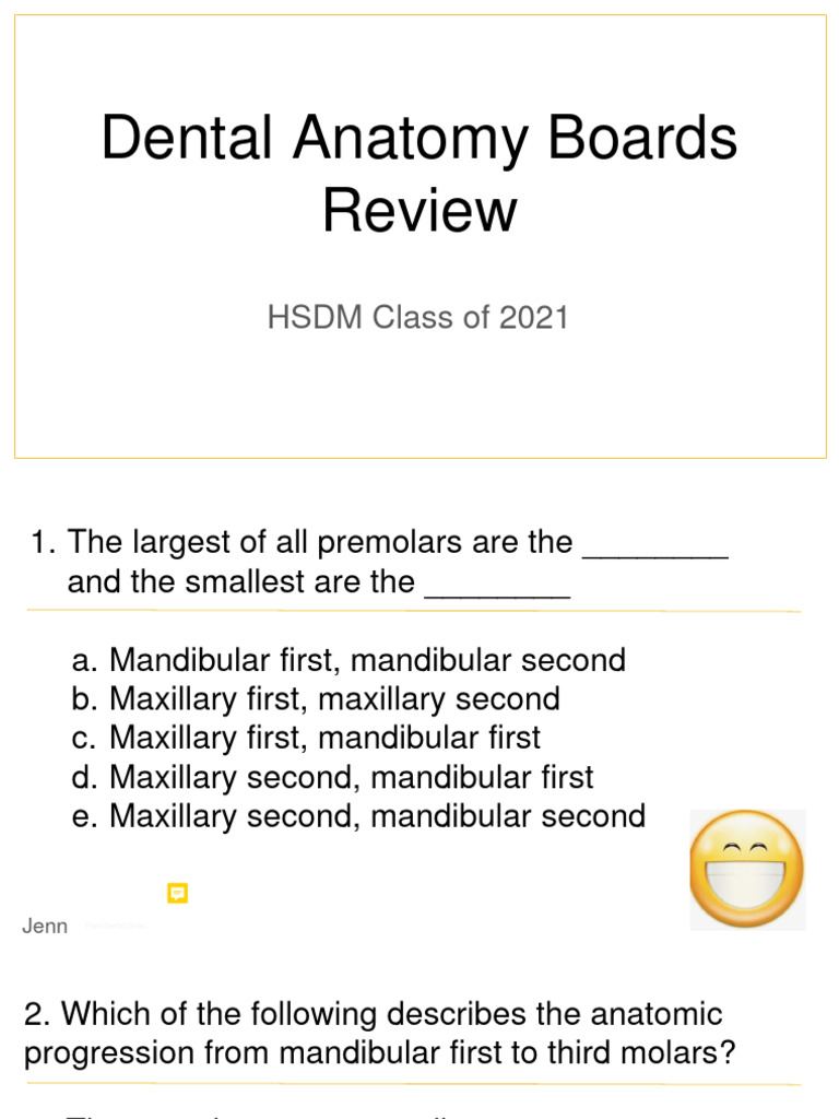 Dr. Chutinan Dental Anatomy | PDF | Dental Anatomy | Dentistry