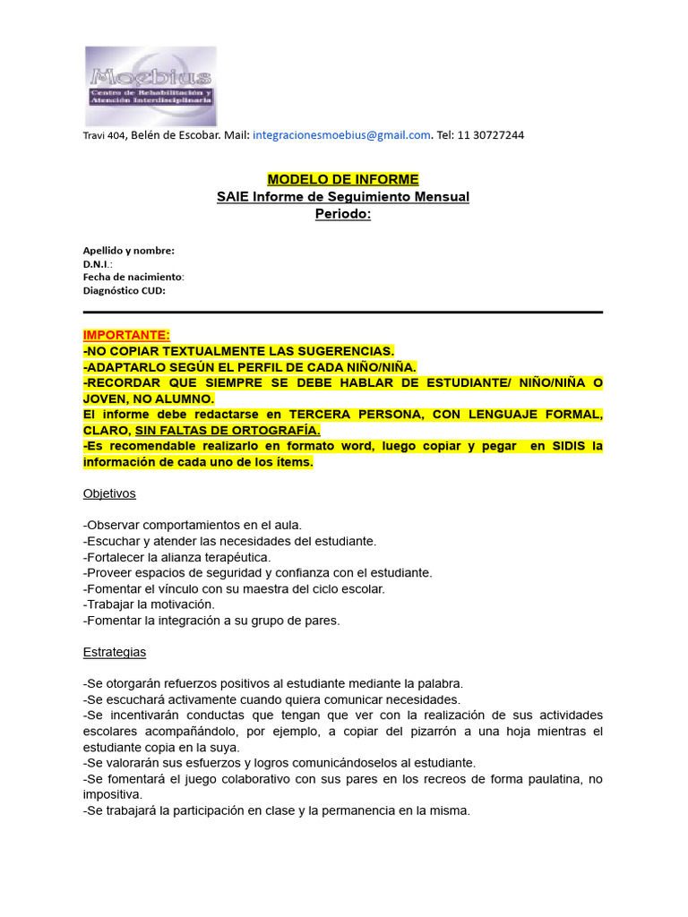 Modelo de Informe Mensual | PDF