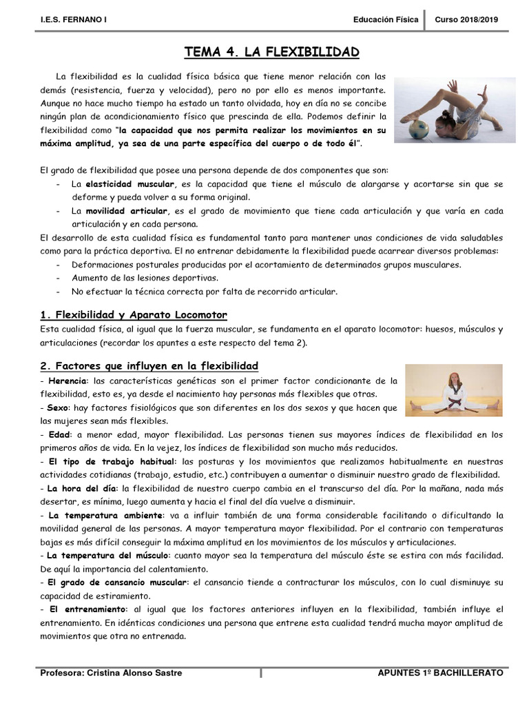 Tema 4flexibilidad | PDF | Flexibilidad (anatomía) | Sistema ...