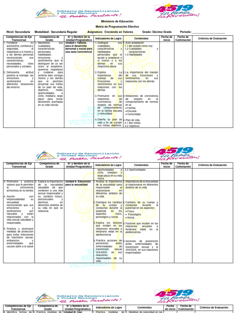 Matriz de Programación Efectiva Creciendo en Valores (Décimo Grado ...