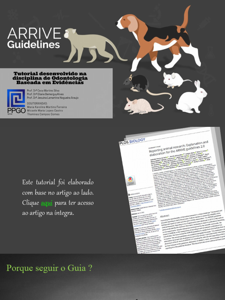 Tutorial Arrive | PDF