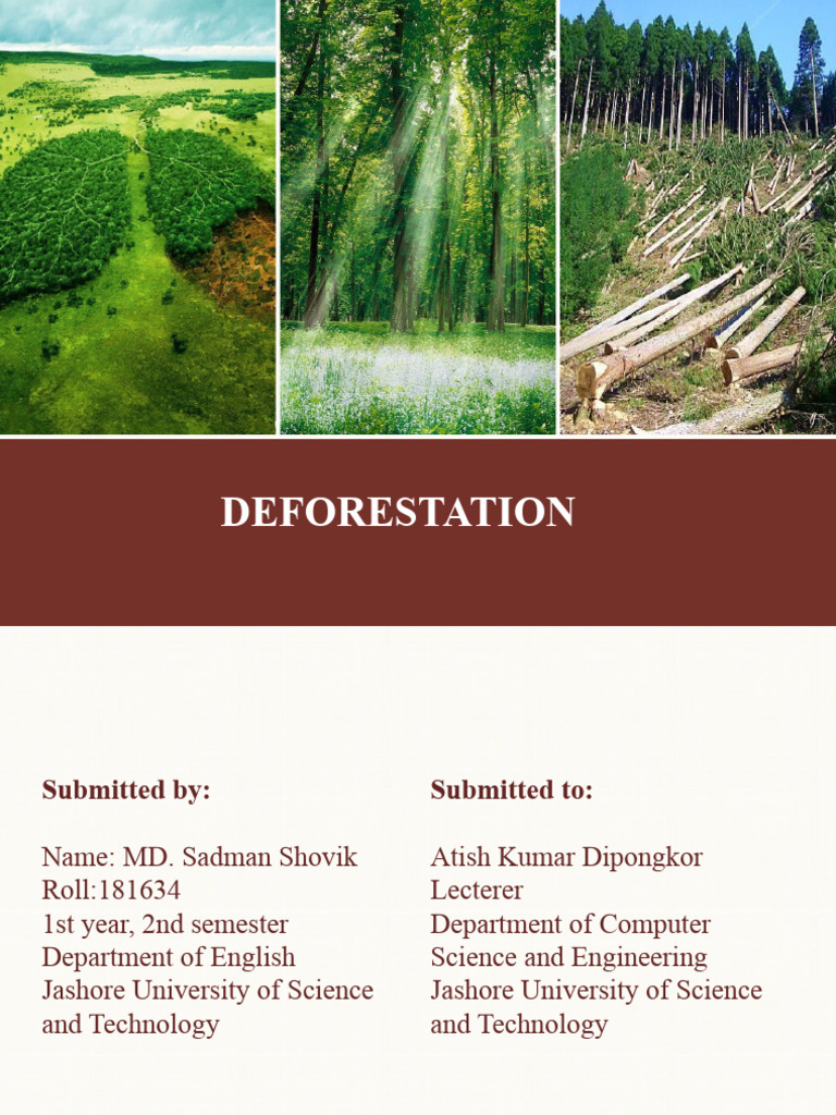 Deforestation | PDF | Deforestation | Amazon Rainforest