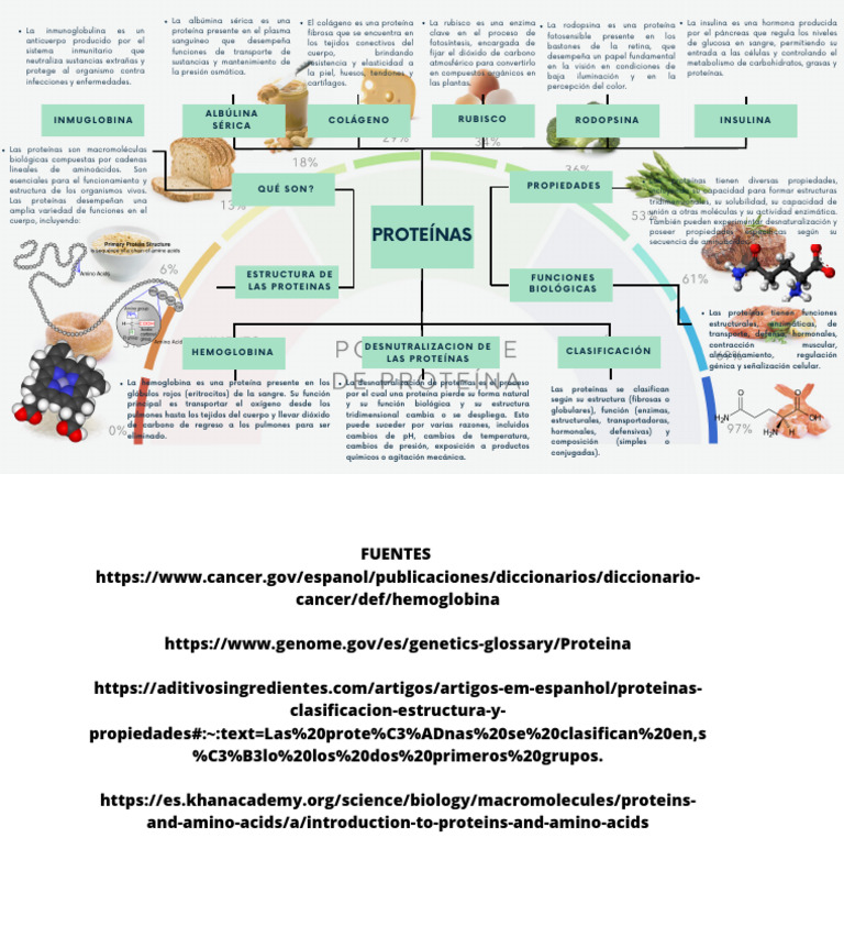 Mapa Mental Biologia | PDF | Proteínas | Sangre