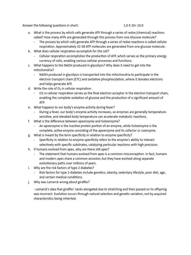 Bio Final SRWR | PDF | Glycolysis | Enzyme