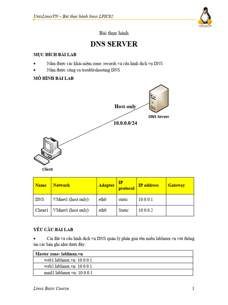 Thuc hanh_DNS | PDF