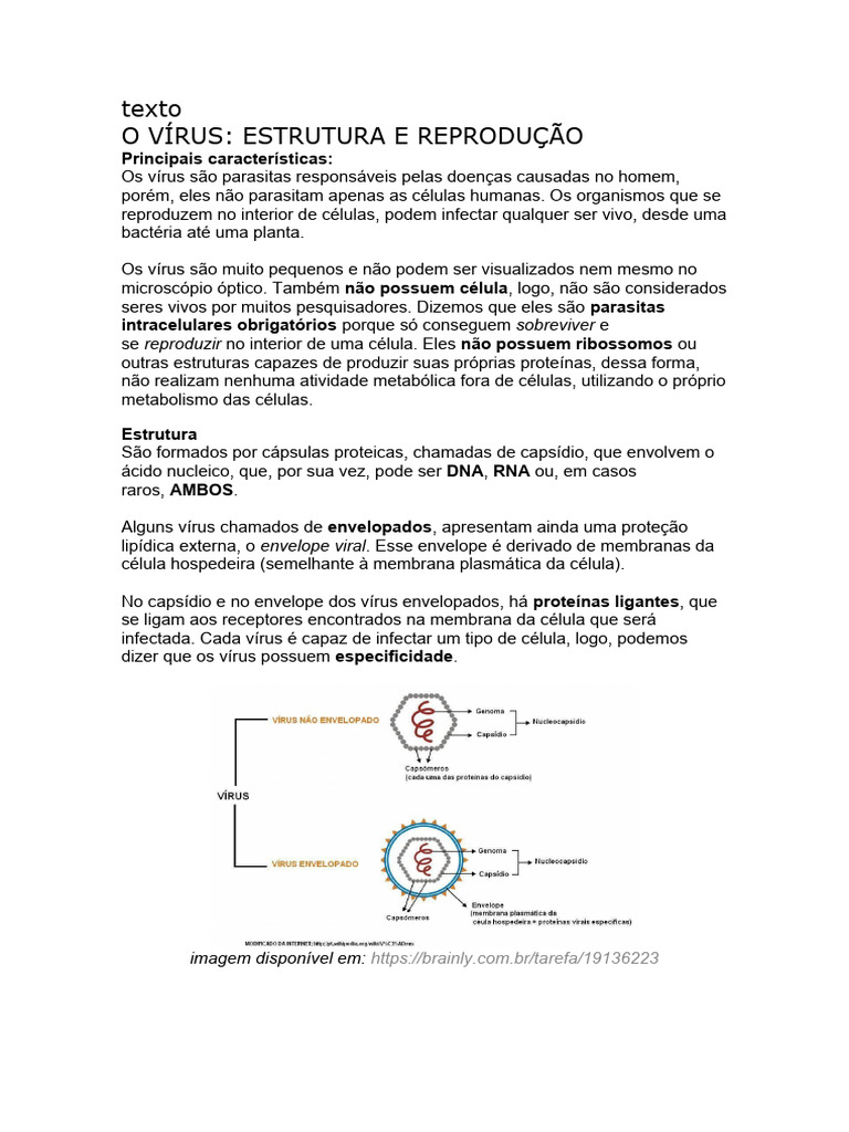 Texto Virus e Bacterias | PDF | Vírus | Bactérias