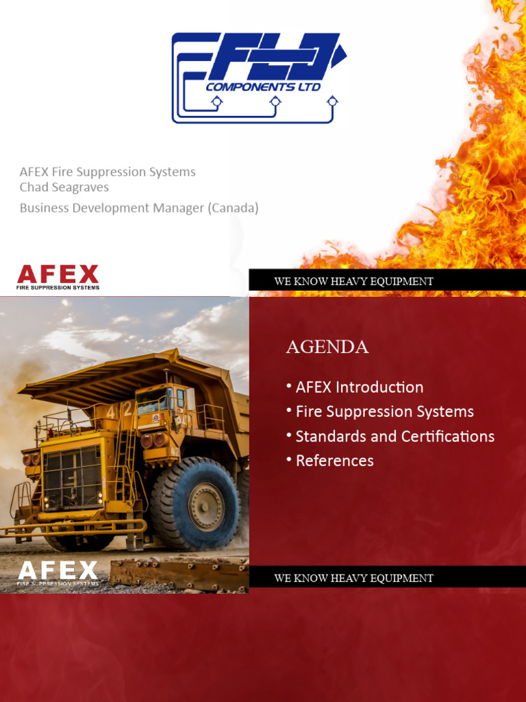 Afex Presentation | PDF