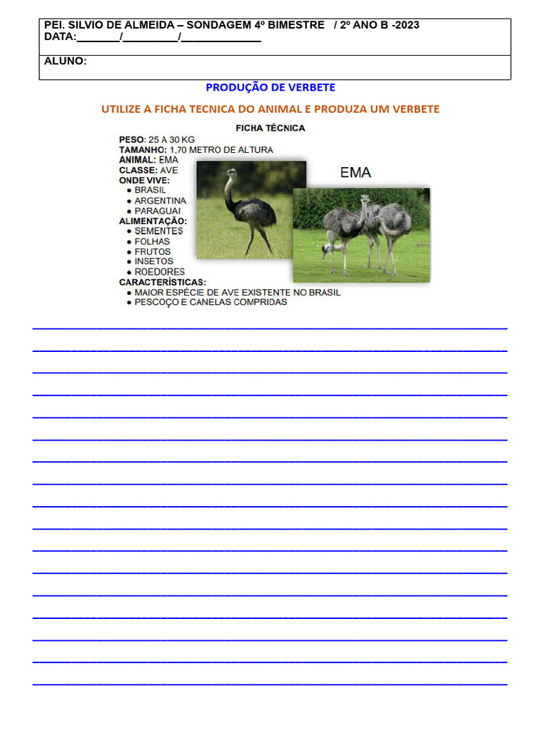 Produção De Verbete Pdf