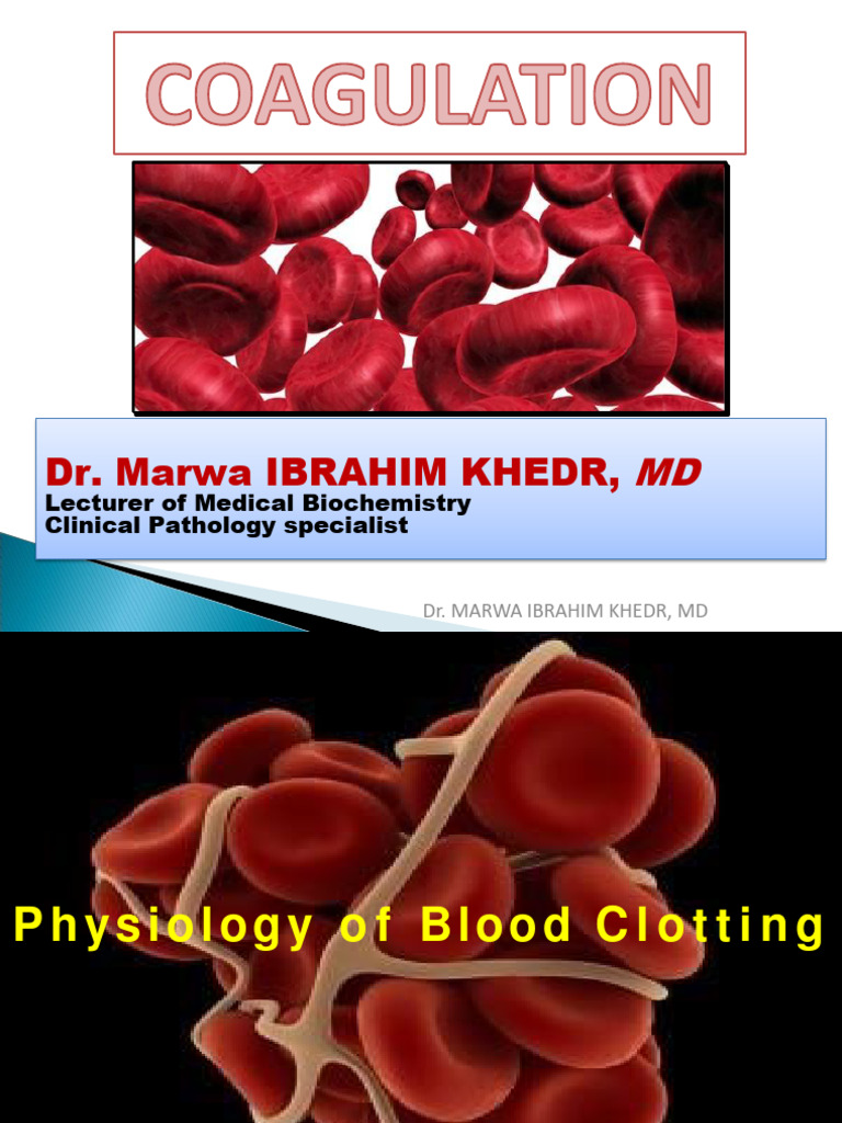 Lec6 Coagulation | Download Free PDF | Platelet | Coagulation