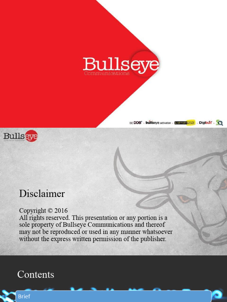 Bullseye Plan | PDF | Computing