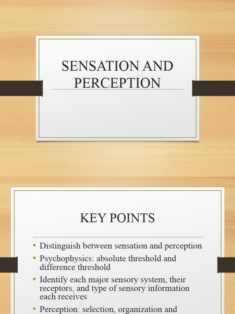 CH # 3 Sensation - Perception | PDF | Senses | Perception