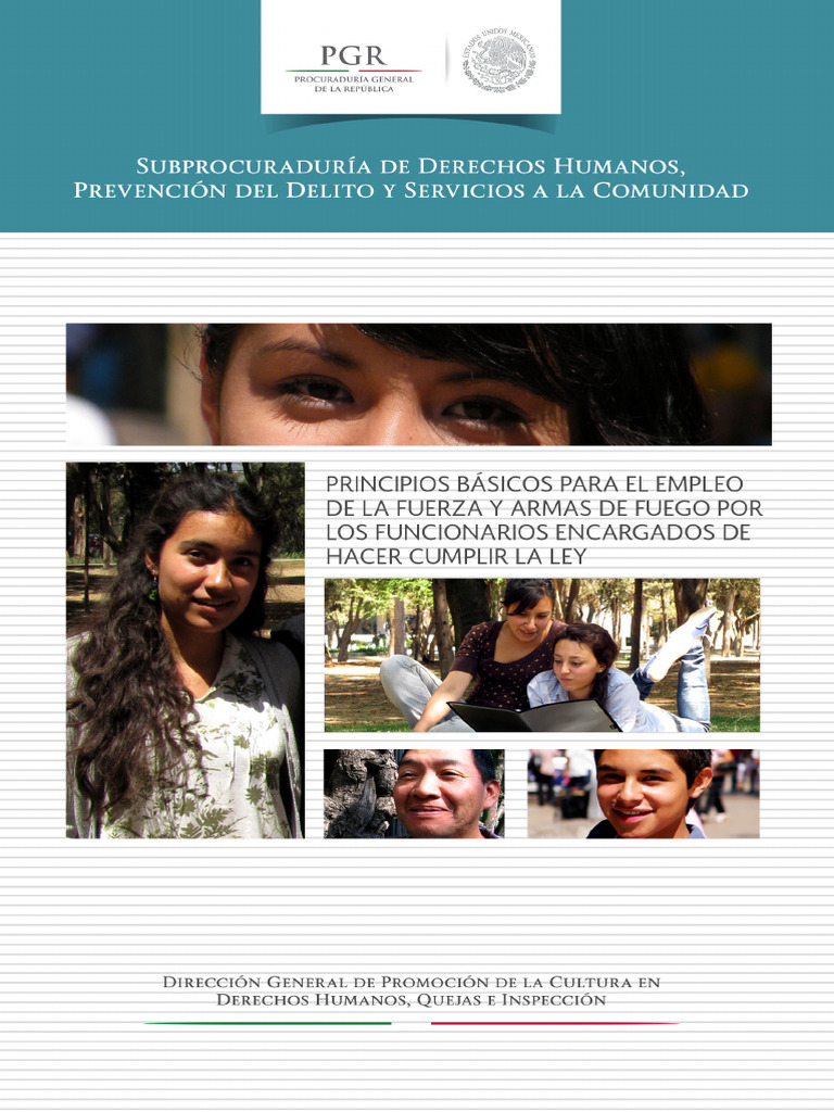 Principios B Sicos | PDF | Armas de fuego | Policía