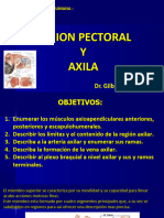 Región Axilar Resumen Prrre | PDF | Tórax | Anatomía humana