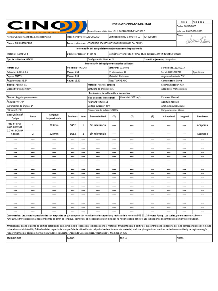 Formato Cino-For-Paut-01 | PDF