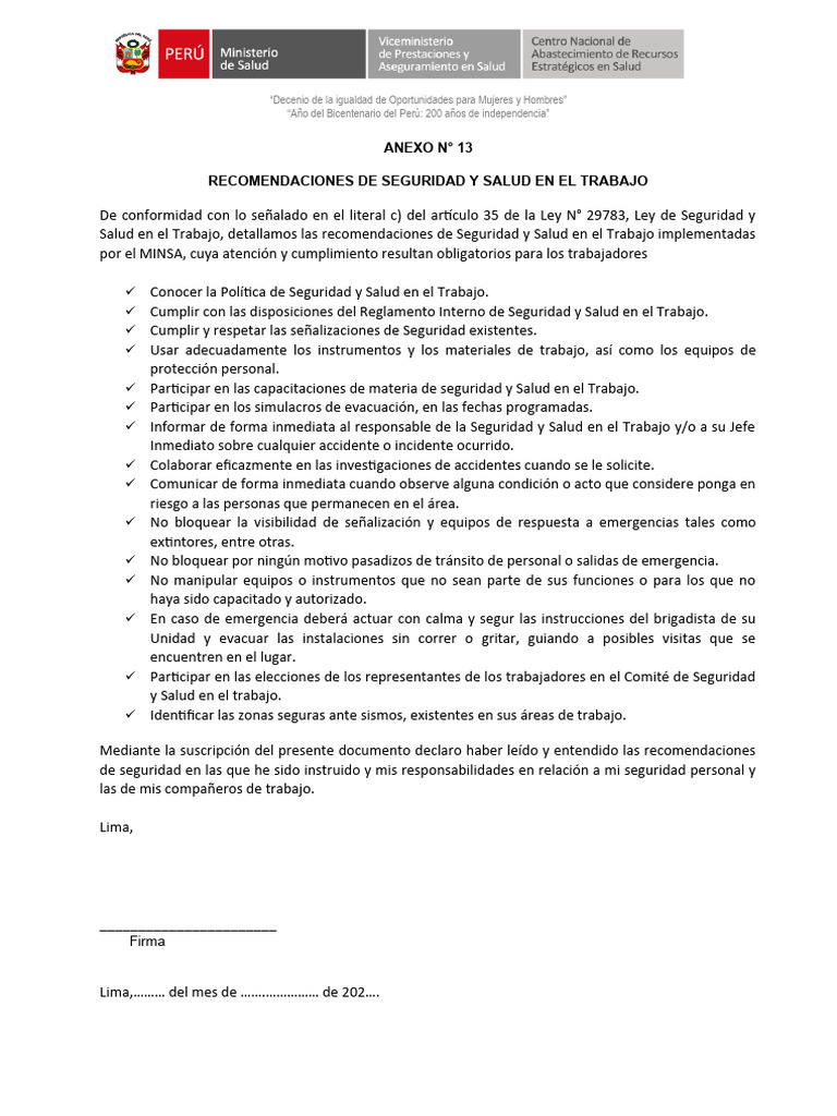 Anexo 15 Recomendaciones de Seguridad y Salud en El Trabajo | PDF
