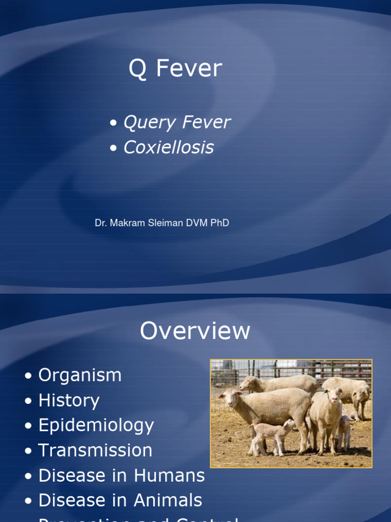 QFever | PDF | Diseases And Disorders | Immunology