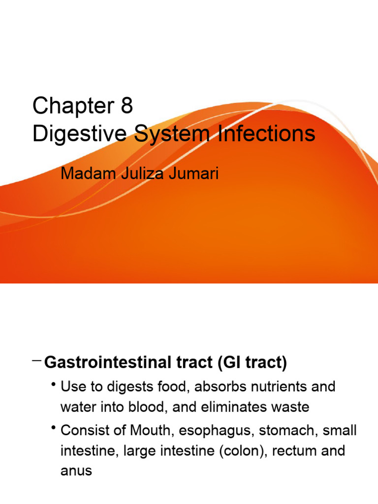 Microb Intestinal | PDF | Gastrointestinal Tract | Stomach