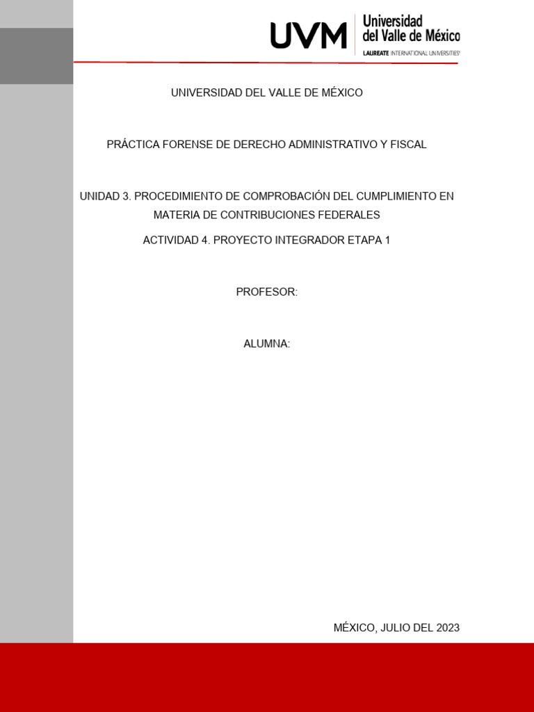 Actividad 4 - Proyecto Integrador Etapa 1 | PDF | Gobierno | Justicia