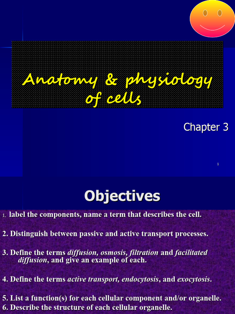 Anatomy and Physiology- Cells | PDF | Endoplasmic Reticulum | Cell Membrane