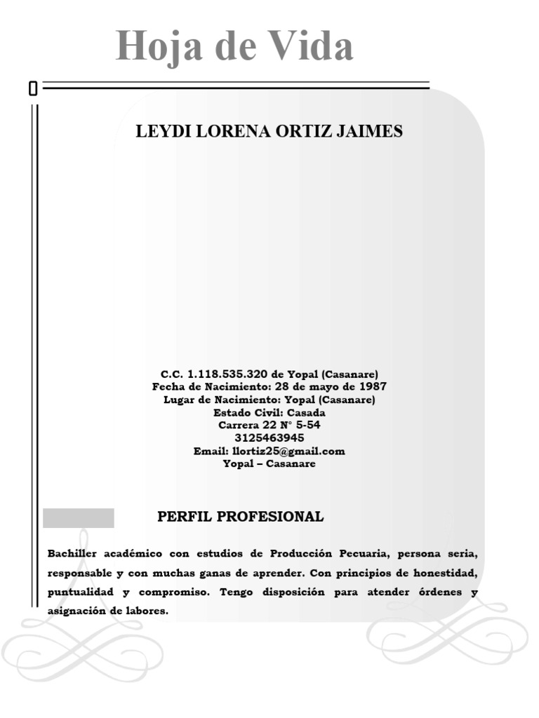 HOJA DE VIDA Alejandro | PDF | Business