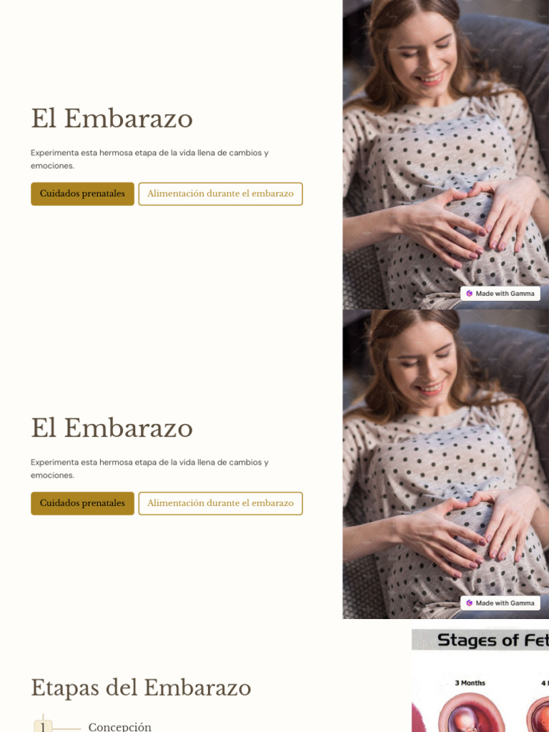Guía Completa para un Embarazo Saludable | PDF | El embarazo | Parto