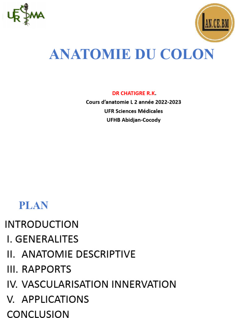 anatomie colon | PDF