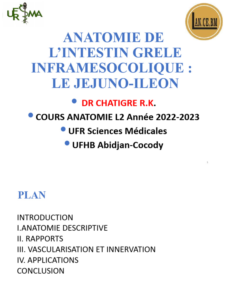 anatomie JEJUNO ILEUM - Copie | PDF | Gros intestin | Anatomie