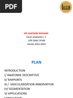 Segmentation Hépatique: Concepts Clés | PDF | Foie | Morphologie (Biologie)